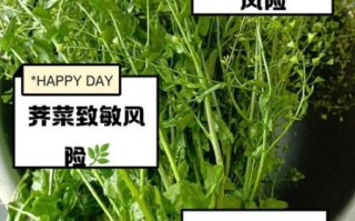 荠菜和什么吃了会中毒_荠菜相克食物有哪些