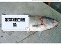 大白鲢鱼怎么做好吃_大白鲢鱼的家常做法