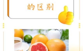 西柚和柚子有什么区别_哪个更好吃