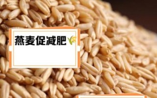 燕麦的功效与作用及禁忌是什么_哪些人不能吃
