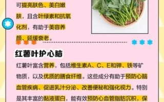 地瓜叶的功效与作用及禁忌_地瓜叶什么人不能吃