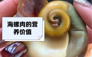 海螺怎么吃里面的肉_海螺肉怎么取出来