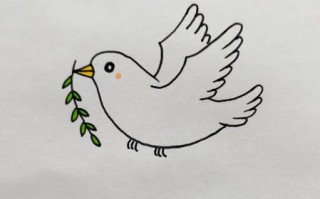 鸽子图片大全大图简笔画_怎么画鸽子简笔画