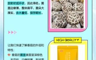 花菇香菇哪个更香_干菇香味对比