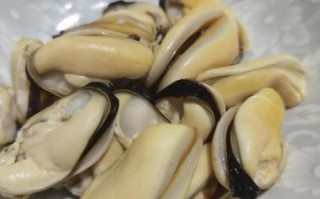 海虹怎么煮_海虹煮多久才开口