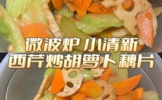 春季清淡菜谱大全做法_适合老人小孩的低油低盐家常菜