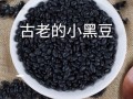 黑芸豆怎么煮容易烂_黑芸豆要泡多久