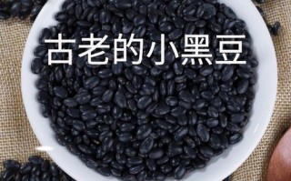 黑芸豆怎么煮容易烂_黑芸豆要泡多久
