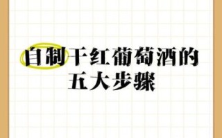家庭葡萄酒制作方法_自酿葡萄酒注意事项