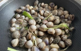 青蛤怎么清洗_青蛤怎么吐沙干净