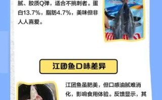 江团鱼什么人不能吃_江团鱼不能和什么一起吃