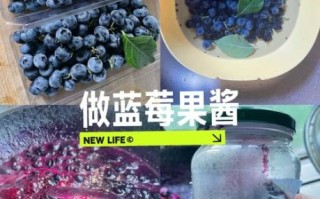 蓝莓酱怎么冲水喝_蓝莓酱冲水比例是多少