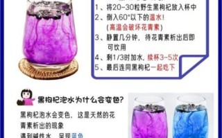 黑枸杞子泡水喝的功效与禁忌_哪些人不能吃