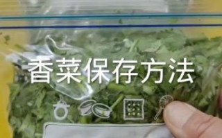 香菜怎么保存_香菜可以放冰箱吗