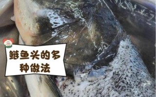 鲢鱼头有什么营养价值_鲢鱼头怎么做最补脑