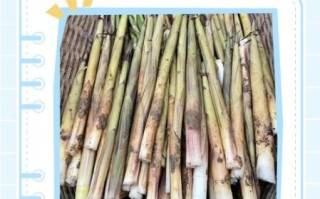 竹笋怎么剥皮_竹笋怎么切