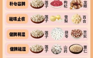 莲子怎么吃最好_莲子一天吃多少粒合适