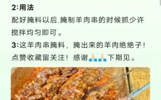 炭火烤羊肉串怎么腌制才嫩_炭火烤羊肉串做法窍门