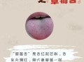 草莓舌头图片_草莓舌头是什么原因