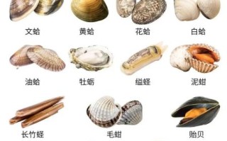 贝壳海鲜名称大全_哪些贝类适合清蒸