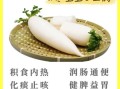 萝卜汤的功效与作用_白萝卜汤怎么炖最润肺