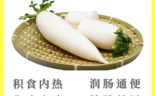 萝卜汤的功效与作用_白萝卜汤怎么炖最润肺