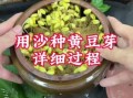 怎样生黄豆芽_黄豆芽怎么发最快