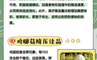 鸡腿菇的功效与作用禁忌_什么人不能吃