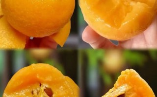 云南特产水果有哪些_云南水果什么时候最好吃