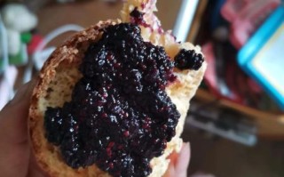 桑葚酱怎么吃最好_桑葚酱的吃法大全