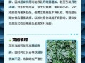 长期用艾叶泡脚有没有危害_艾叶泡脚的副作用