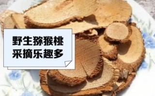 野生猕猴桃根抗肿瘤偏方_真的有用吗
