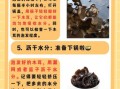 木耳需要泡多久_干木耳泡发时间