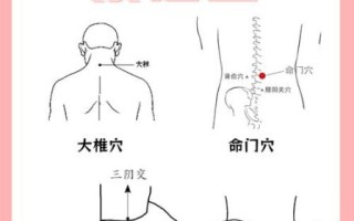 蛤蚧酒的功效与作用_蛤蚧酒怎么泡才正确