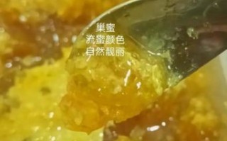 蜂巢蜜怎么吃_蜂巢蜜真假辨别方法