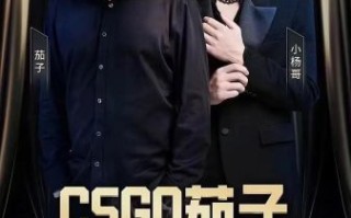 茄子直播间为什么被封_茄子直播间被封多久能恢复