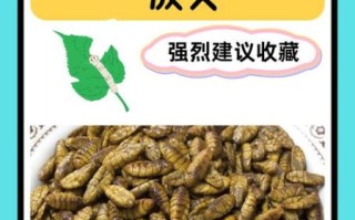 蚕蛹怎么吃最安全_蚕蛹的禁忌有哪些