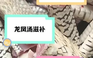 蛇肉怎么煲汤才好喝_蛇肉煲汤放什么配料最香