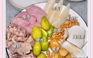 猪肺汤有什么功效_猪肺汤适合什么人喝