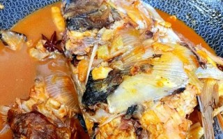 大胖头鱼怎么做好吃_大胖头鱼的家常做法