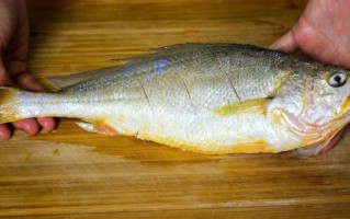 黄鱼视频怎么保存到手机_黄鱼视频下载失败怎么办 黄鱼视频怎么保存到手机_黄鱼视频下载失败怎么办