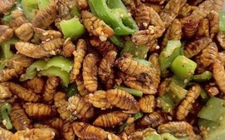 水煮蚕蛹煮多少分钟_蚕蛹煮多久才熟