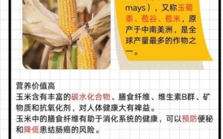 甜玉米是转基因的吗_甜玉米和转基因区别