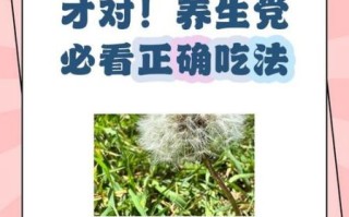 蒲公英怎么吃最安全_蒲公英的吃法禁忌有哪些