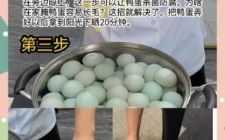 咸蛋怎么腌制_咸蛋出油技巧