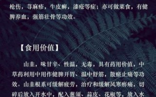 韭菜的功效与作用及禁忌_韭菜吃多了有什么坏处