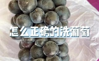 如何洗葡萄最干净_葡萄怎么洗才没有白霜