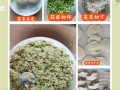 蒜苗饺子馅怎么做_蒜苗饺子馅做法大全