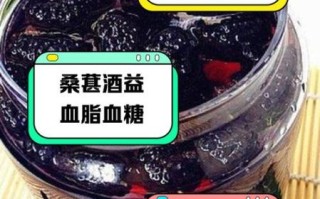 桑葚泡酒补肾壮阳吗_桑葚酒壮阳效果怎么样
