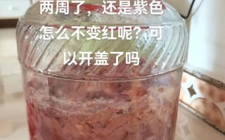 红葡萄酒原料有哪些_自酿配方比例怎么算